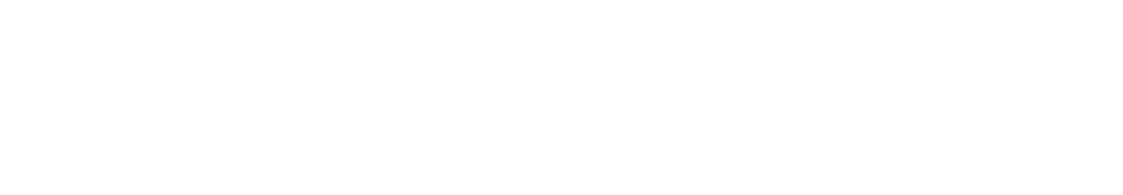 Valet Ski Storage
