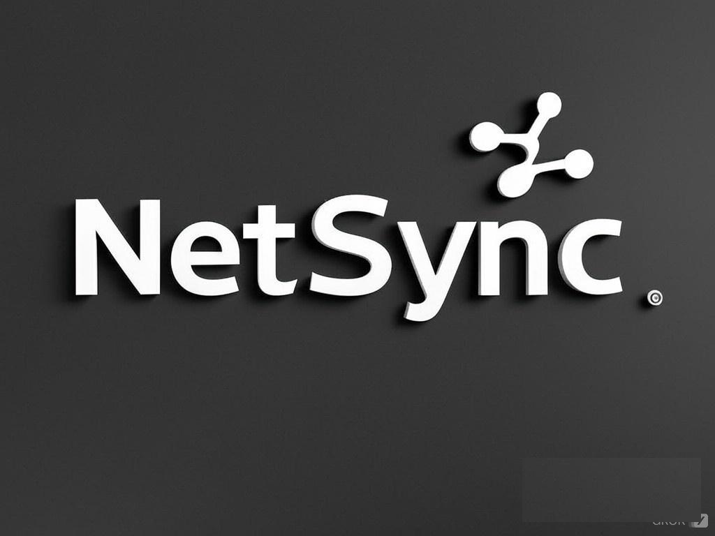 NetSync Brasil