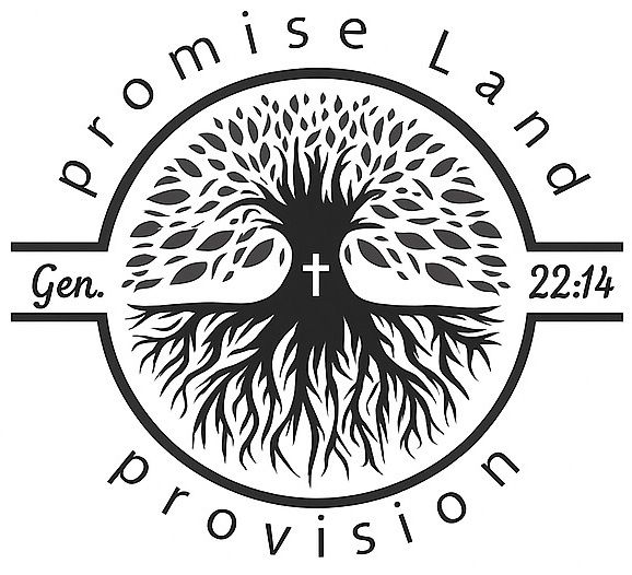 sermonstarter | Promise Land Provision
